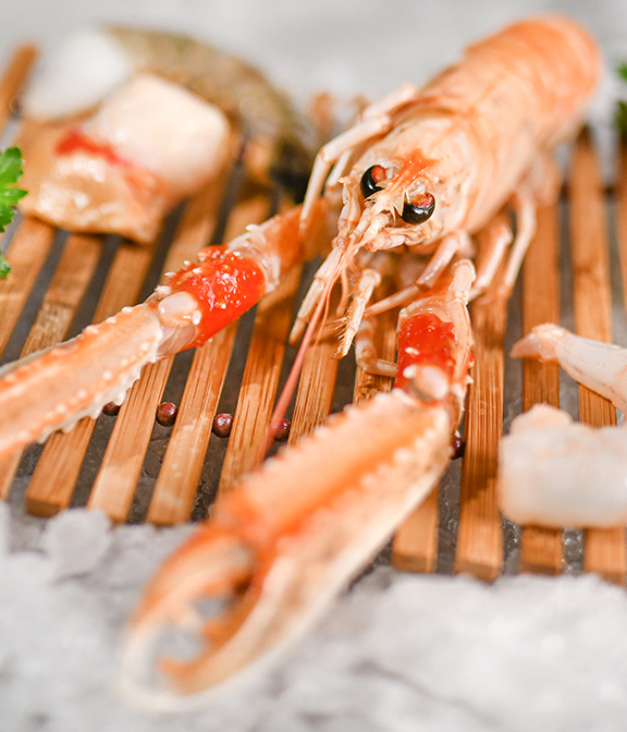 Kalorogiannis | Frozen Sea Food | Frozen Fish | Frozen Molluscs